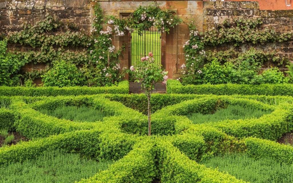 Early Modern Women – Margaret, Lady Hoby (1571-1633) | Catherine Meyrick