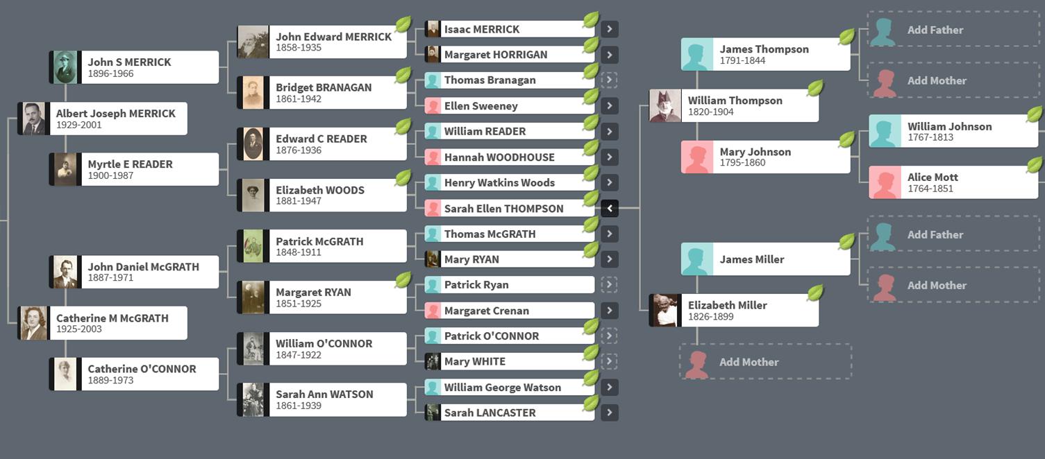 Some Family History | Catherine Meyrick